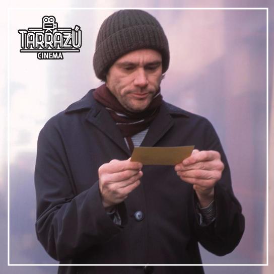 Boletopolis - Eternal sunshine of the spotless mind