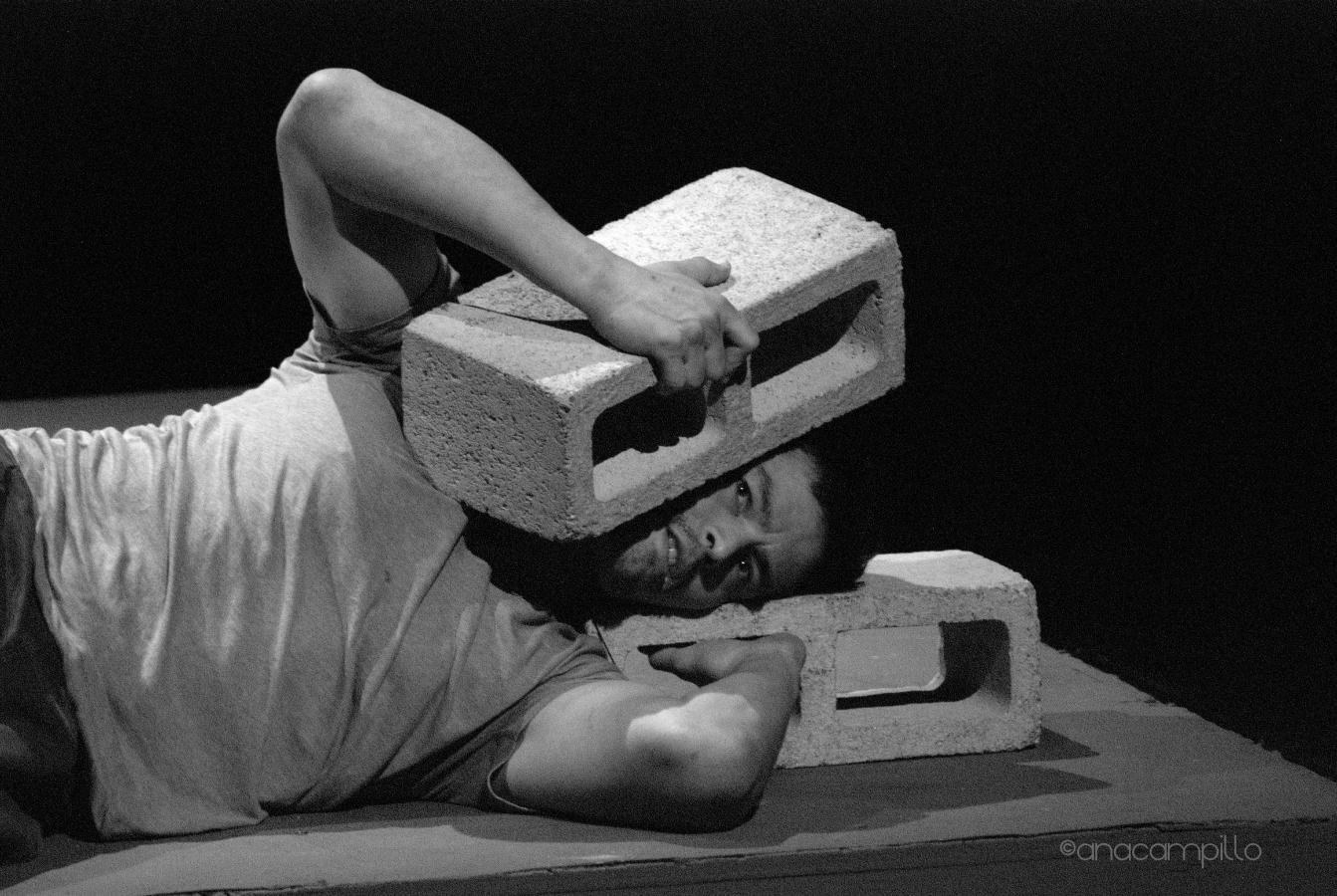 Boletopolis - EJECUTOR 14