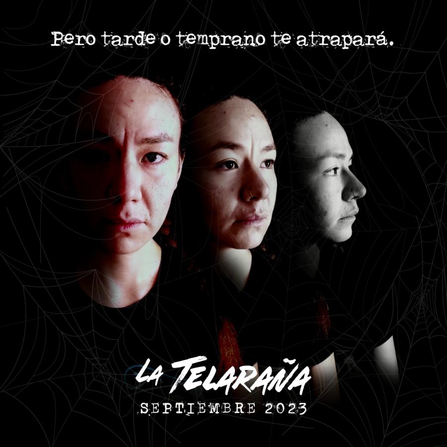 Boletópolis - La telaraña