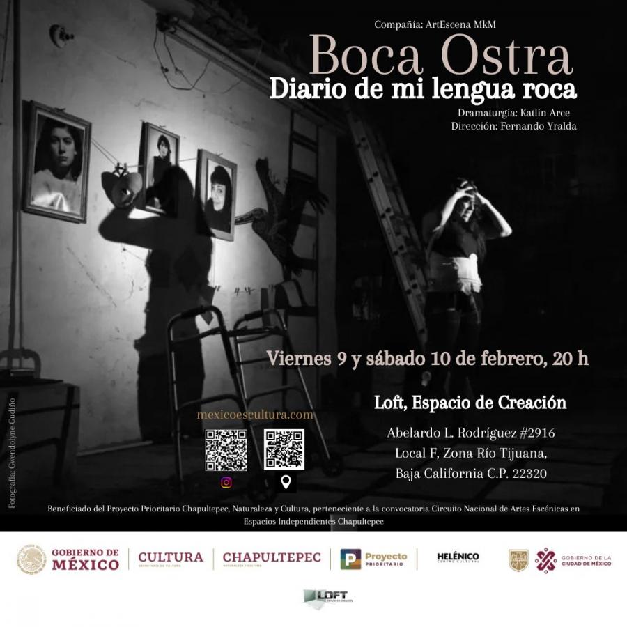 Boletópolis - Boca Ostra: Diario De Mi Lengua Roca